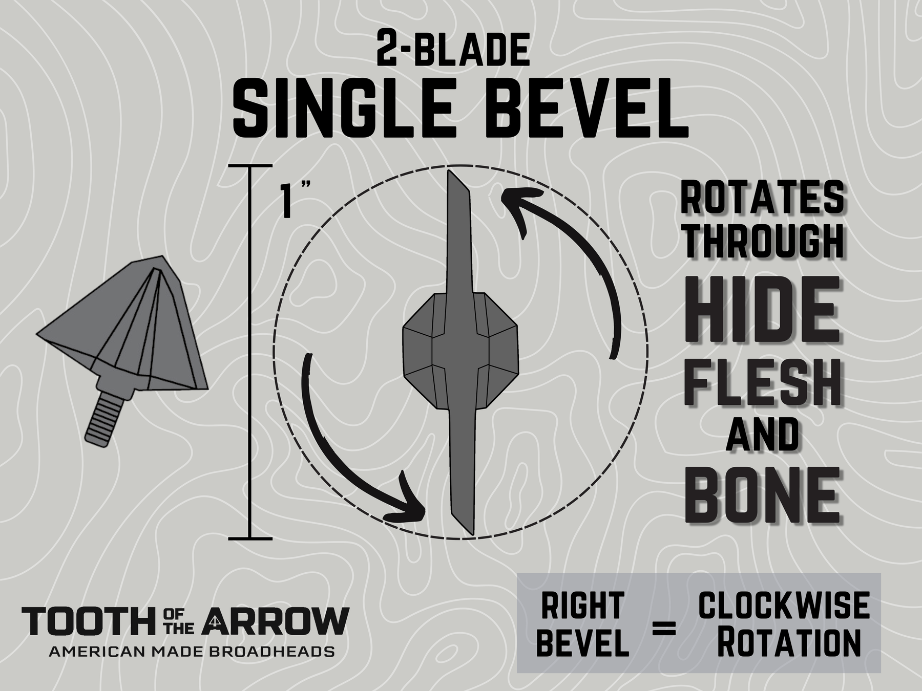 Tooth of the Arrow | 125 grain broadhead | 1-inch Single Bevel – Tooth ...